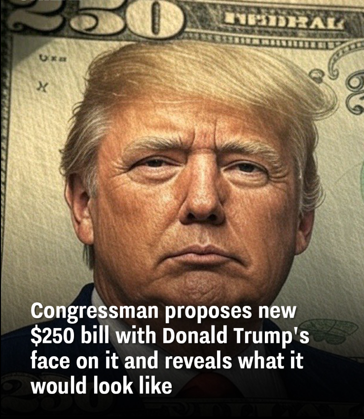 Congressman proposes new $250 bill with Donald Trump's face on it and ...