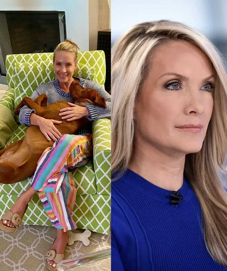 Where Is Dana Perino? Fans Sound the Alarm After Her Sudden ...