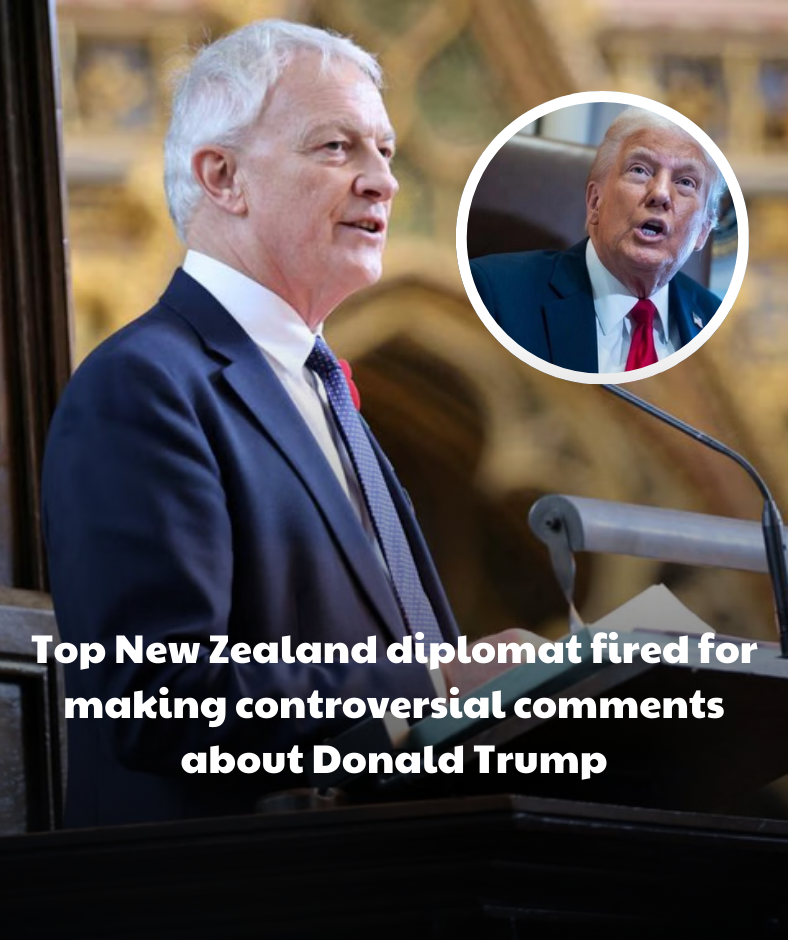 Top New Zealand diplomat fired for making controversial comments about ...