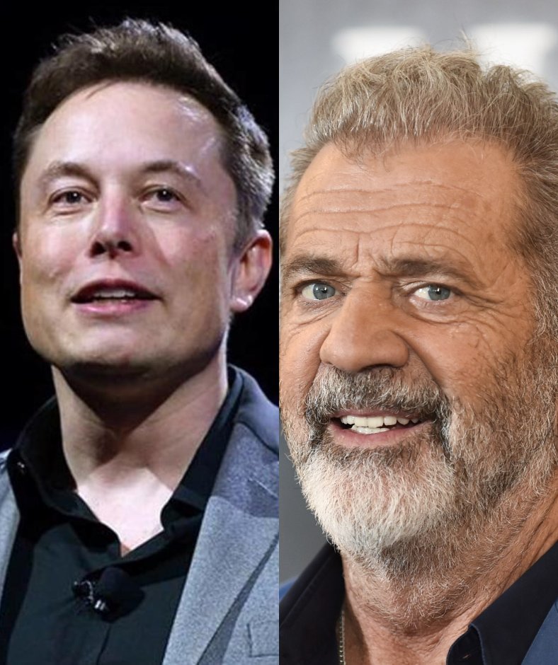 Mel Gibson And Mark Wahlberg Partner With Elon Musk And Invest Between ...