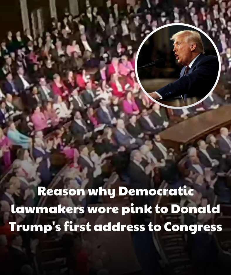 Reason why Democratic lawmakers wore pink to Donald Trump's first ...