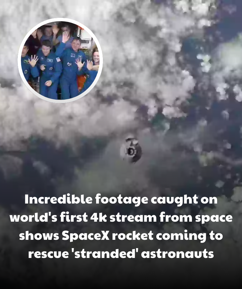 Incredible footage caught on world's first 4k stream from space shows SpaceX rocket coming to ...