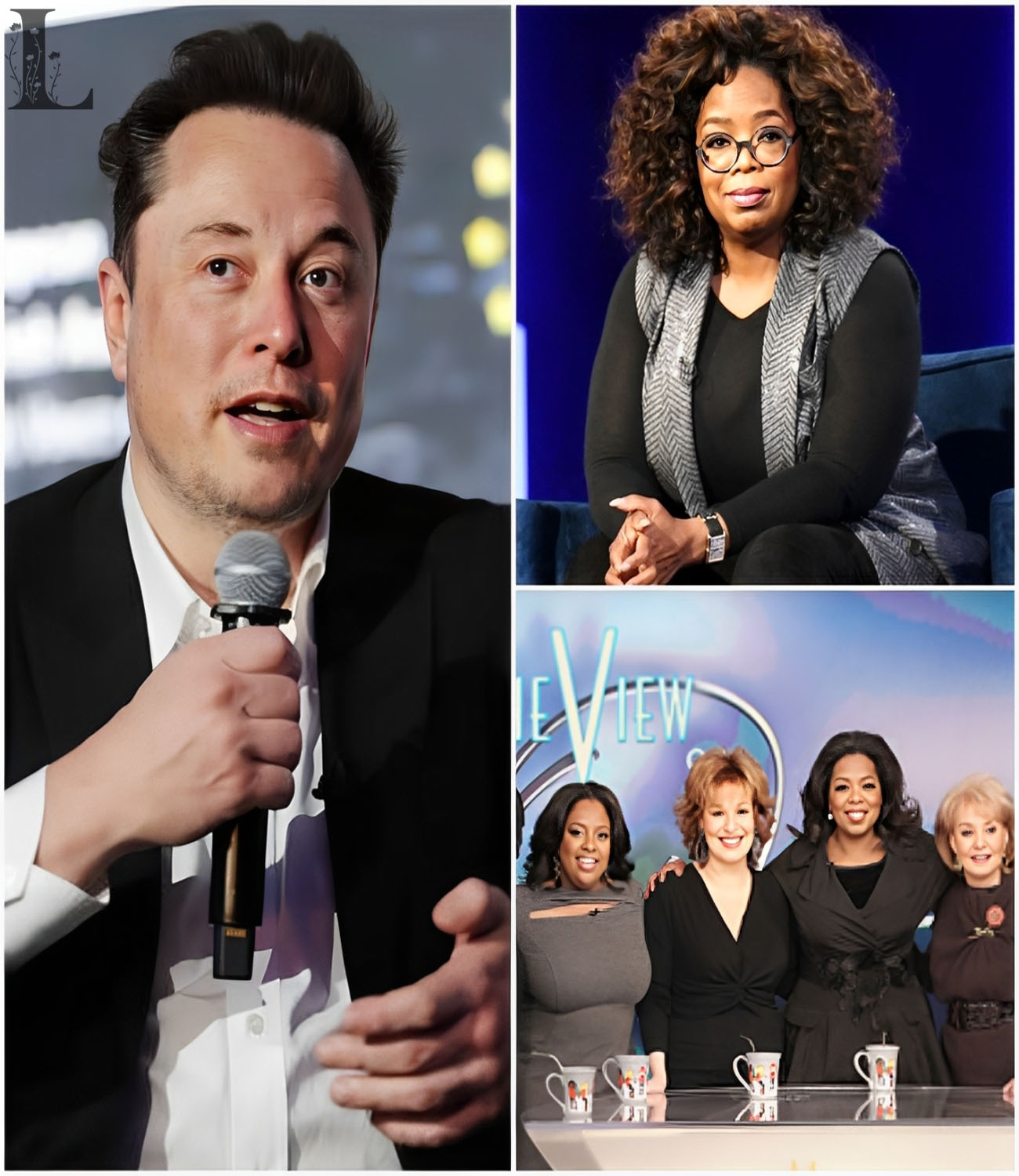 Elon Musk Invests $790 Million in the Purchase of ABC and Cancels “The ...