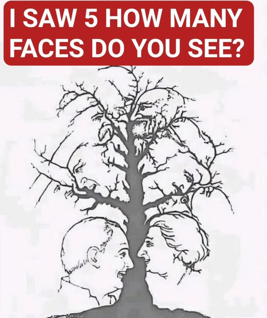 How Many Faces Do You See? This Optical Illusion Will Blow Your Mind ...